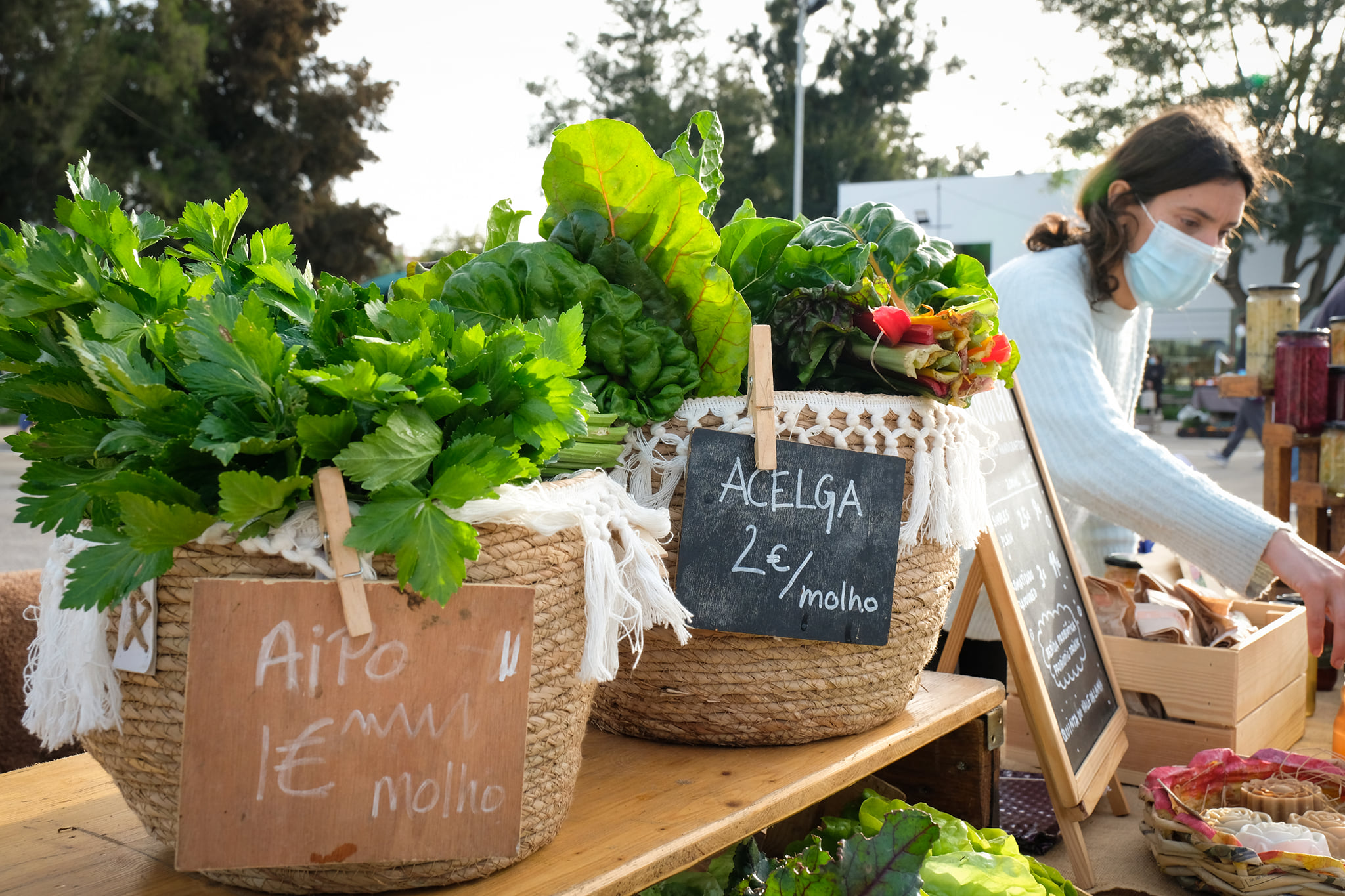 Belmar Spa & Beach Resort - Official website